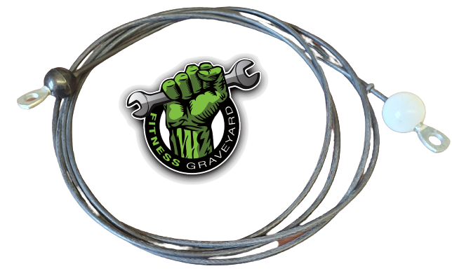 Parabody 350 A Cable Assembly # 6492401 NEW WFR082321-8CM ...